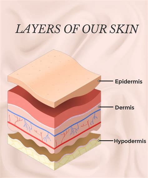 Skin Layers