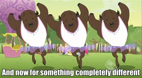 Python Pony Pics Monty Python Fimfiction