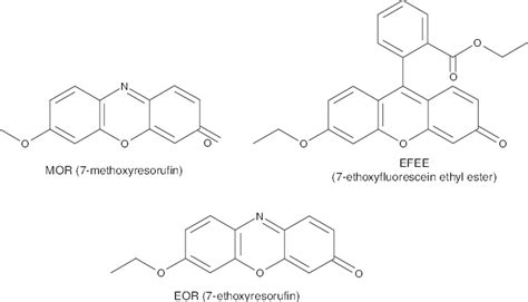 Chemical Structure Of Fl Uorogenic Substrates Download Scientific