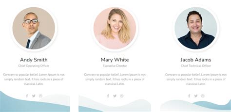 10 Elementor Add Ons To Create Team Members Section Wppagebuilders
