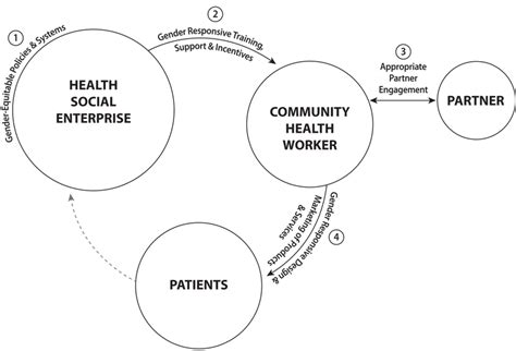 Gender Integration Framework For Health Social Enterprises Download Scientific Diagram