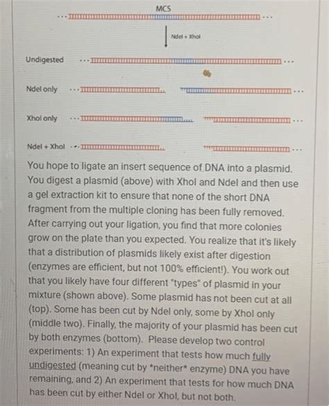 solved you hope to ligate an insert sequence of dna into a