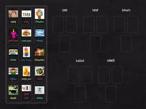 Our Five Senses Group Sort