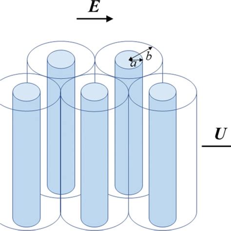 An Array Of Parallel Circular Cylinders Of Radius A In The Cell Model