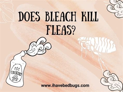 Does Bleach Kill Fleas Ultimate Guide