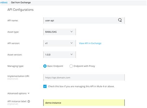 using api instance in anypoint platform 2