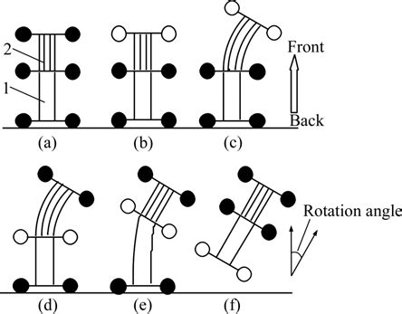 Motion Analysis Of Curvilinear Movement Top View 1 FPA 2 Flexible Download Scientific