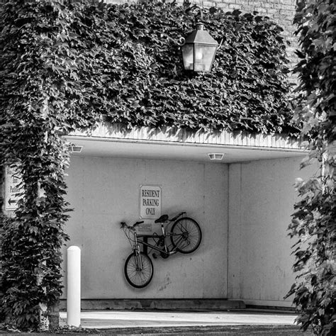 Premium Photo Trees In The Dark Premium Photo Trees In The Dark