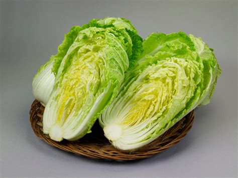 눈 대한민국 배추가 왜 Chinese Cabbage 노컷뉴스
