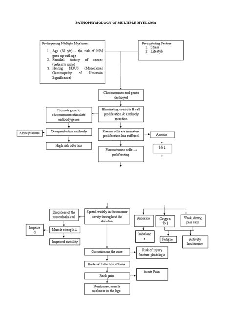 Pathophysiology Of Multiple Myeloma Pdf
