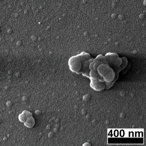 High Magnification Sem Micrograph Of A Pulsed Laser Deposition Pld