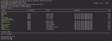 How To Install Python 313 On Rhel 10 Almalinux 10 Cloudspinx