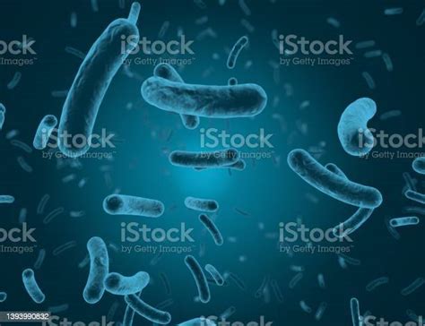 3d 렌더링 박테리아가 혈액에서 번식합니다 박테리아에 대한 스톡 사진 및 기타 이미지 박테리아 0명 3차원 형태 Istock