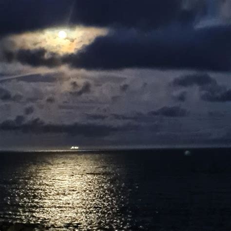 Patsy Mcgarry On Linkedin Moonlight