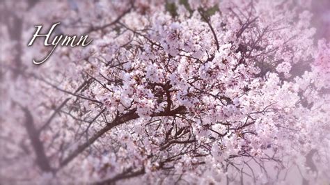 찬송가 피아노 연주곡 Vol2ㅣ참 아름다워라ㅣ주 예수보다 더 귀한 것은 없네ㅣ내 영혼의 그윽히 깊은데서ㅣ내 맘에 한 노래있어ㅣ예수 사랑 하심은 중간 광고 없음