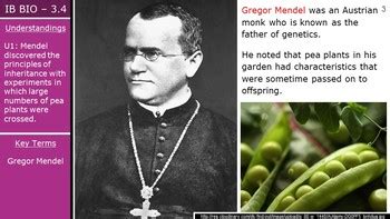 IB Biology 2016 3 4 Inheritance PPT By Dokimi Science PPTs