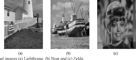 Figure 1 From A Novel Multi Stego Image Based Data Hiding Method For Gray Scale Image Semantic