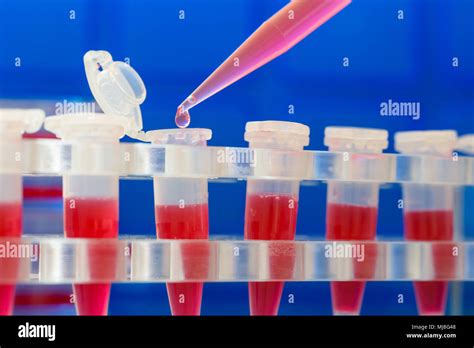 Laboratory Of Polymer Chemistry Stock Photo Alamy