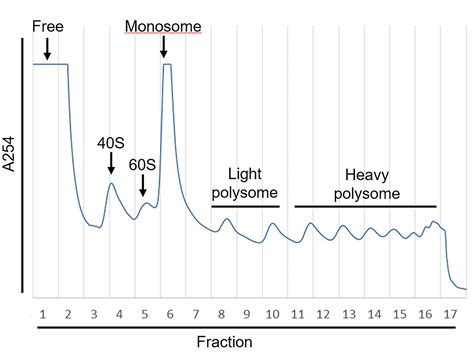 Comprehensive Identification Of Translatable Circular Rnas Using Comprehensive Identification Of Translatable Circular Rnas Using