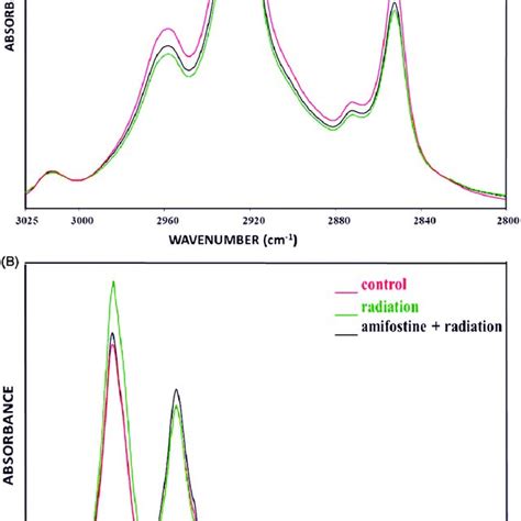 Average Baseline Corrected Infrared Spectra Of Control Download Scientific Diagram