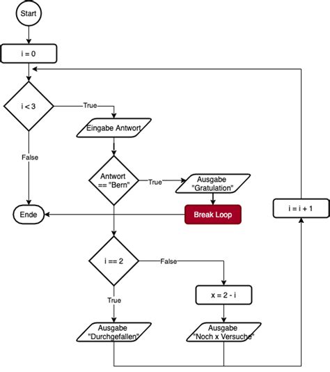Informatik Loops While For Und Flussdiagramme
