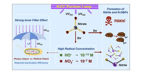 Nitrate Protects Microorganisms And Promotes Formation Of Toxic