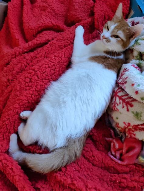 Ruby Being Adorable Rwafflesandcream