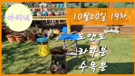 10월 20일 19차 수제화분 예쁜화분 도앤도수목분 Youtube