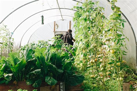 Diy Hydroponics With Raspberry Pi 5 Steps Instructables