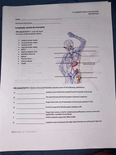 Solved 5 Lymphatic System And Immunity Bio 169 Fa14 Name Lab