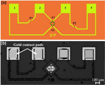 A Scheme Of The MEMS Force Sensor Showing The Active A And A Download Scientific