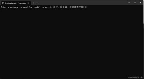 Windows上的C 网络编程保姆级教学 CSDN博客