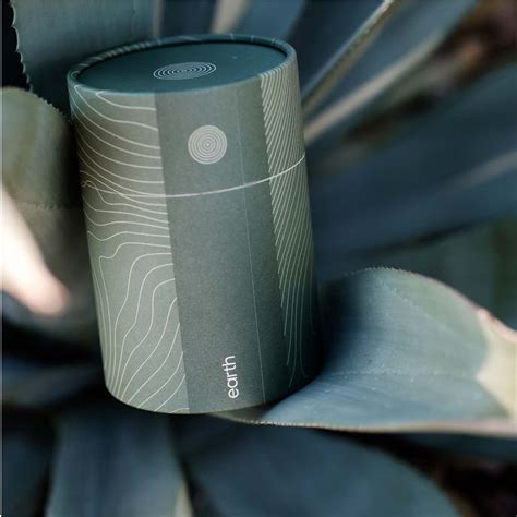 Tree Pod Burial Explained Becoming A Tree After Death