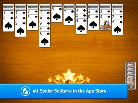 Spider Solitaire Mobilityware On