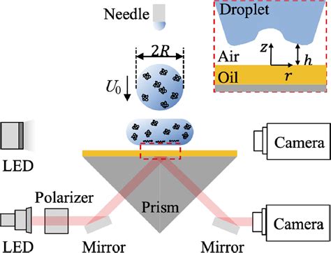 A Schematic Of The Total Internal Reflection Microscopy Tirm Download Scientific Diagram