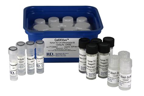 Human Dendritic Cell Differentiation Kit Cdk004 Randd Systems