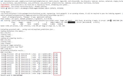 I Used The Trained Weights To Verify That The Coco Effect Was Poor