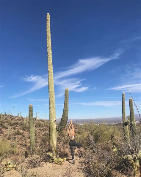 Tree Pose Yoga Vrksasana Yoga Poses Tree Pose Best Yoga