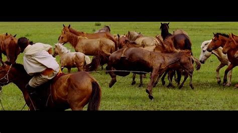 Ш Гүрбазар Монголоороо гоёдог Орхон аймгийн ХЗТ ын эрэгтэй жран бүтээлчид Youtube