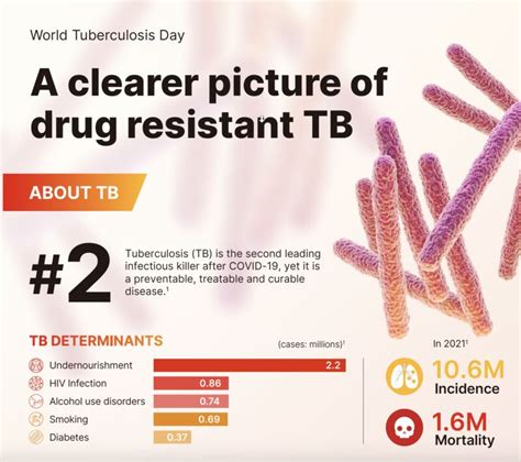 Mariana Kotler Barak Posted On Linkedin