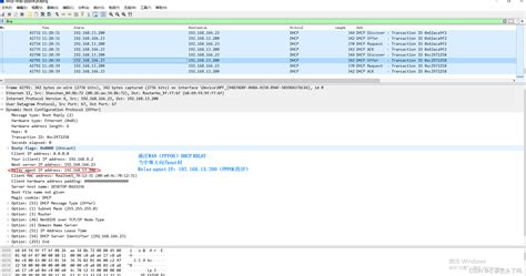 抓包分析dhcp relay工作原理详解 csdn博客