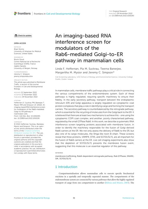 Pdf An Imaging Based Rna Interference Screen For Modulators Of The