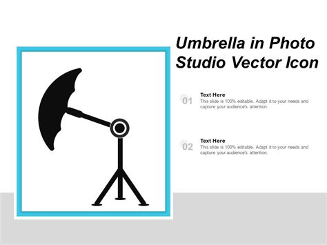Umbrella In Photo Studio Vector Icon Ppt PowerPoint Presentation File Graphic Images PDF