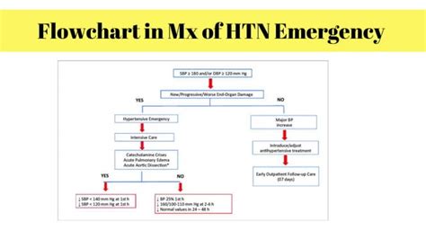 Hypertensive Crisispptx Hypertensive Crisispptx