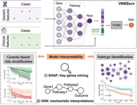Biomedical HPC AI Platform