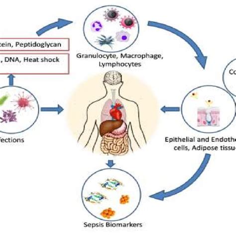 Spirometry Showing Moderate Obstructive Ventilatory Defect Download Scientific Diagram