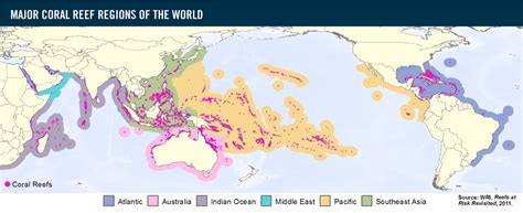 Map Of Coral Reef Regions In The World Map Coral Reef World