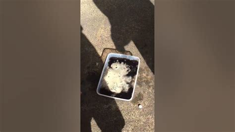 The Biggest Fail Ever Youtube