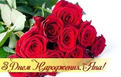 З Днем Народження Яна Красные розы День рождения С днем рождения