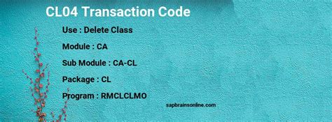 CL SAP Tcode For Delete Class